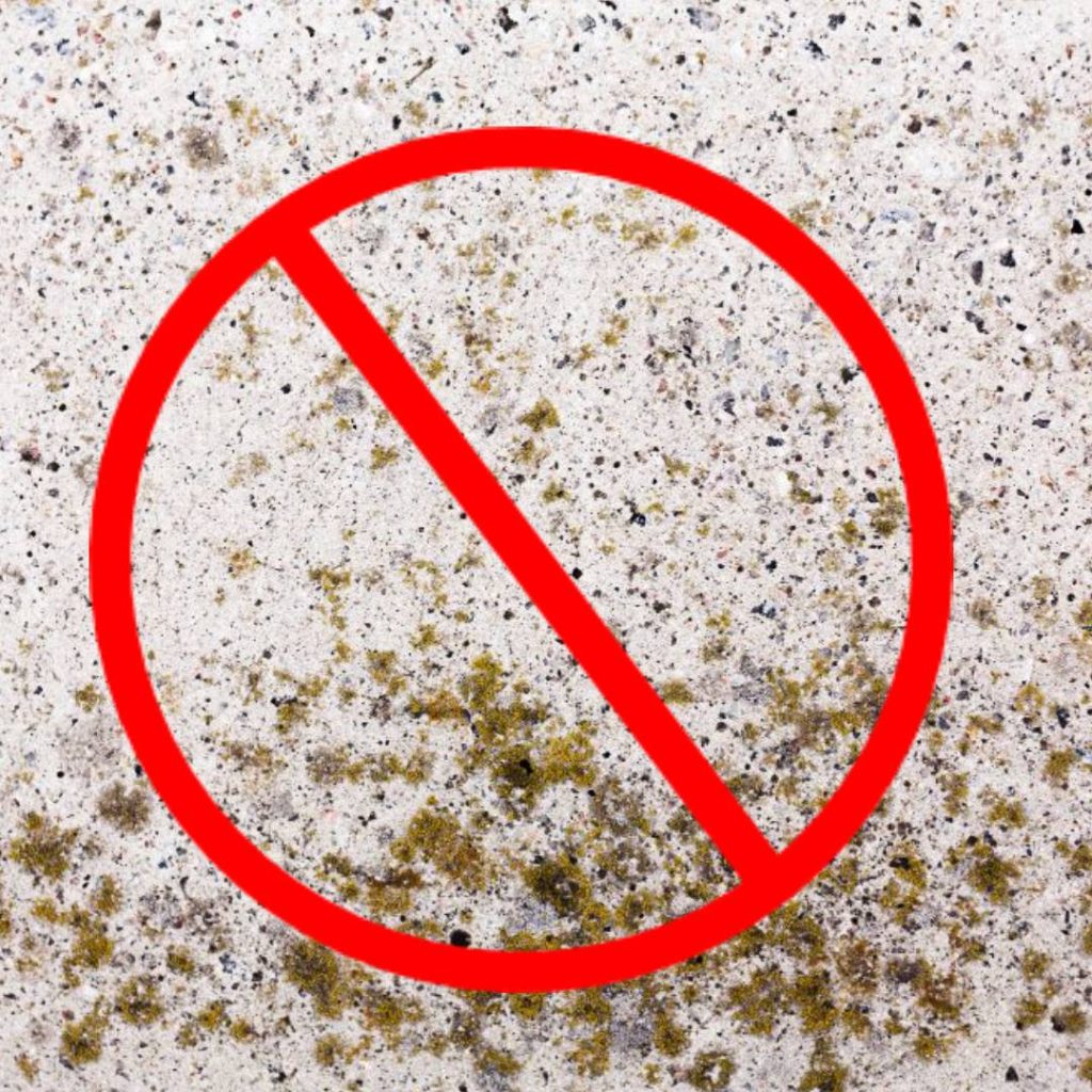 The Power of Anti-Fungal Paint: Enhancing Protection and Aesthetics ...